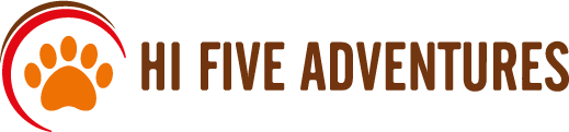 Team Buildings - Hi Five Adventures